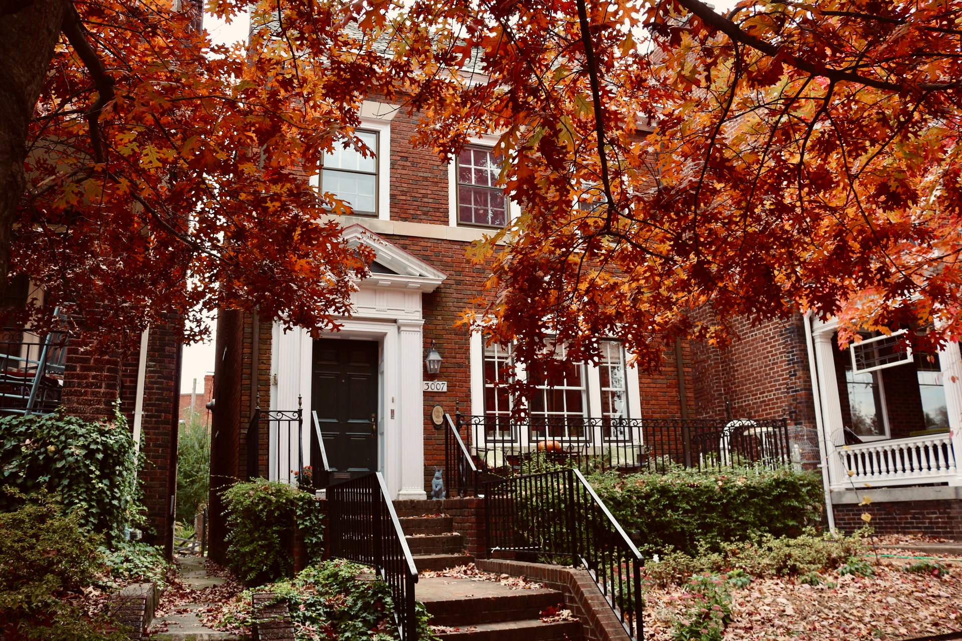 Virginia Medicare Advantage Plans